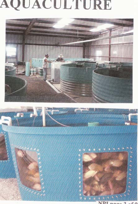 Needful Provision, Inc.